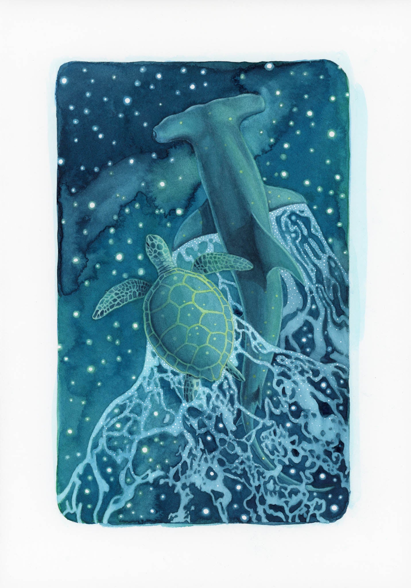 A4 Original Artwork - Turtle & Hammerhead Shark – Christopher Maxwell Art