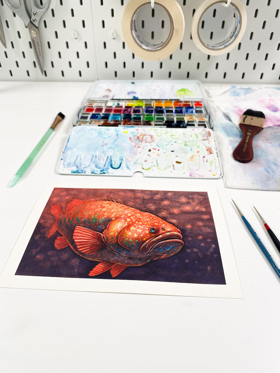 A5 Original Artwork - Orange Grouper – Christopher Maxwell Art