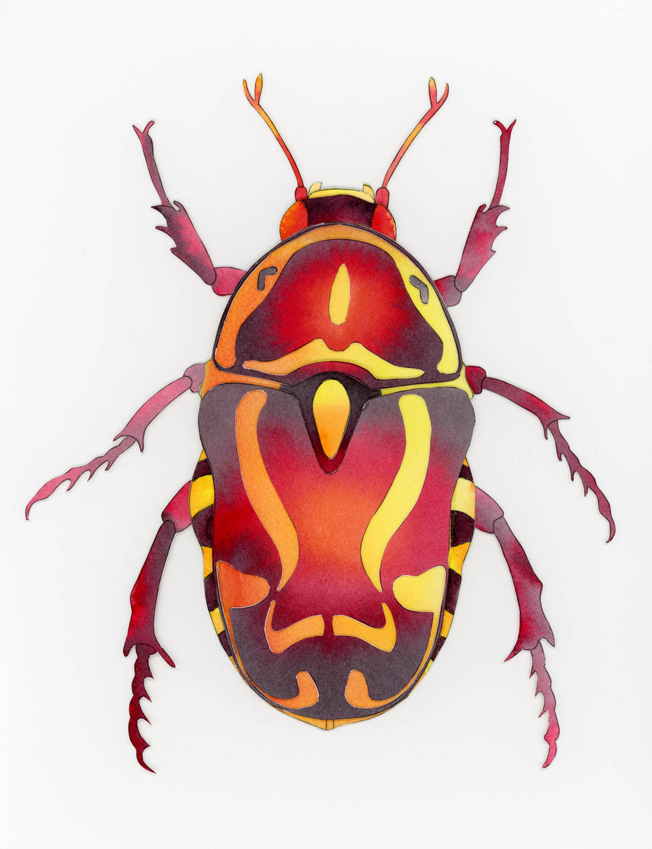 Framed Paper Sculpture - Barry The Beetle – Christopher Maxwell Art
