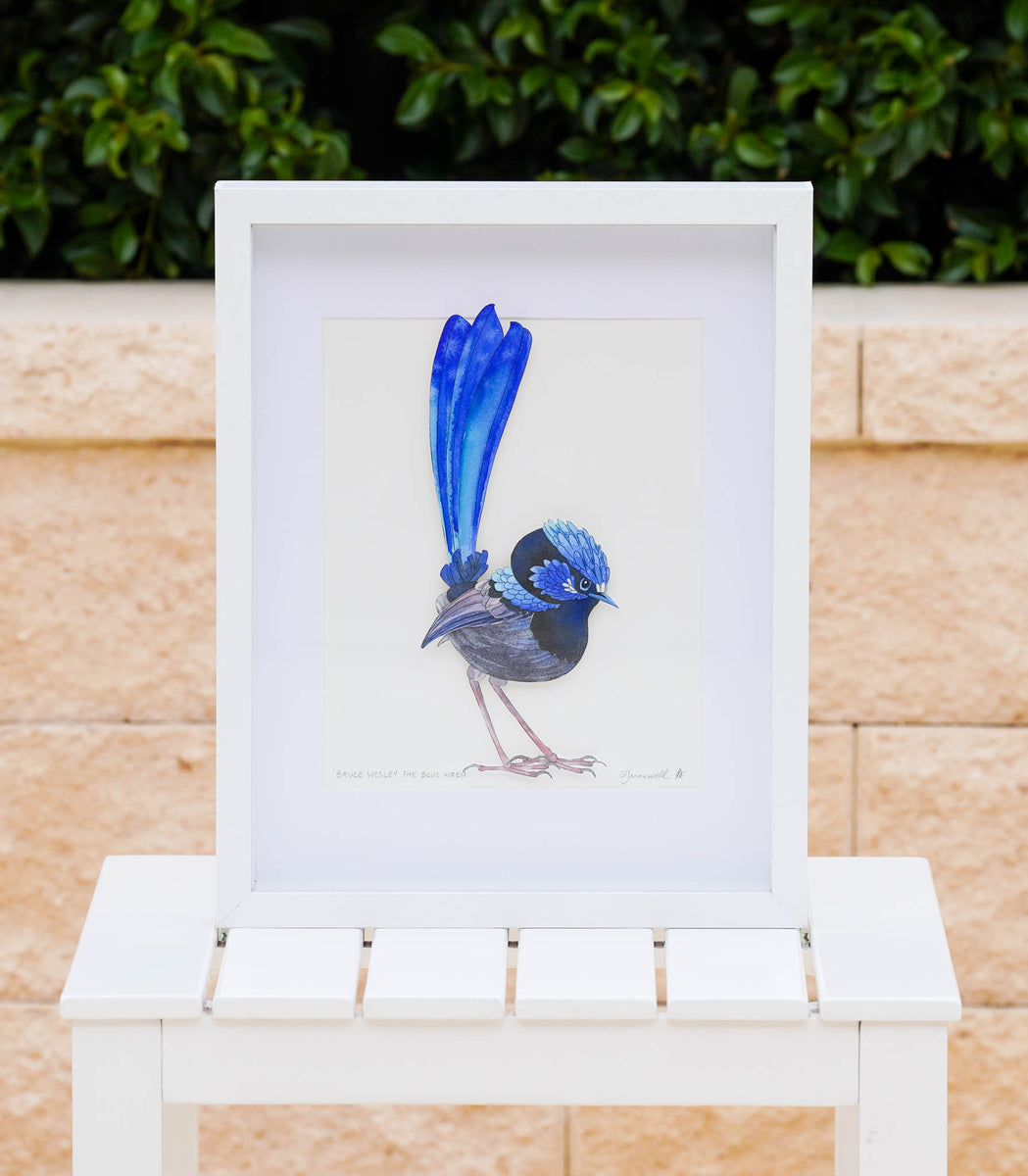 Framed Paper Sculpture - Bruce Wesley The Blue Wren – Christopher ...