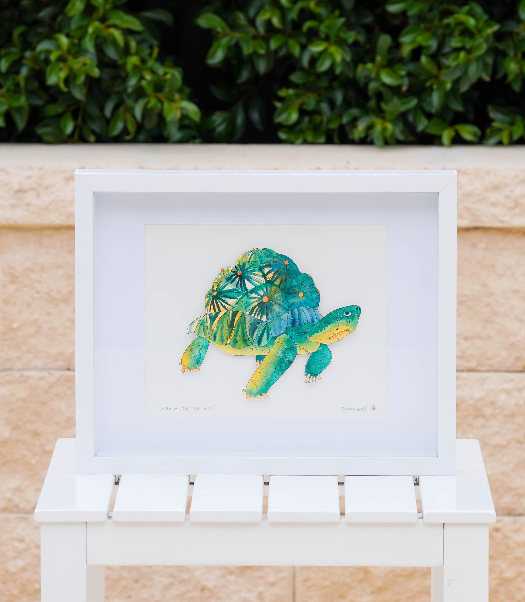 Framed Paper Sculpture - Tortilla The Tortoise – Christopher Maxwell Art